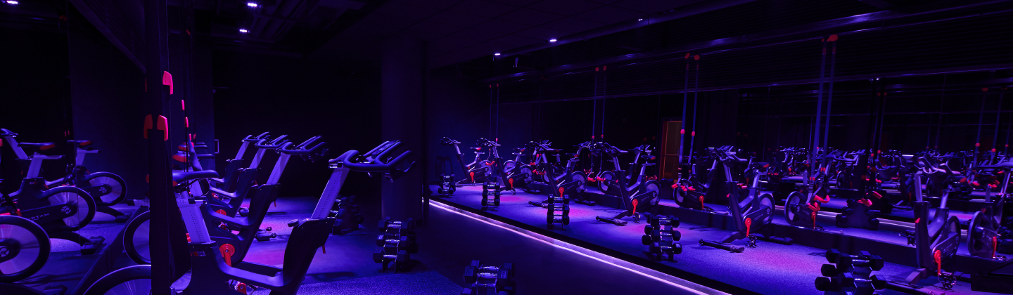 Terms of Use - SweatBox | SweatBox